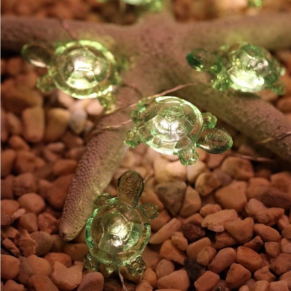 Urban Outfitters | Party Supplies | Adorable Sea Turtle Animal Room ...